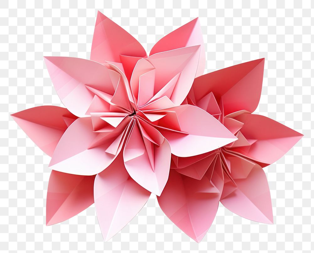 PNG Paper flower origami art | Free PNG - rawpixel
