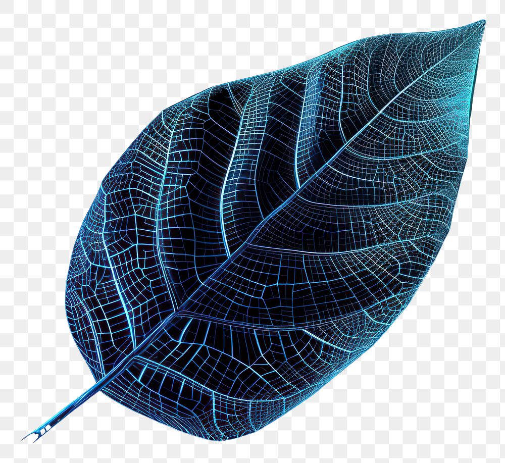 PNG Glowing wireframe leaf nature | Premium PNG - rawpixel