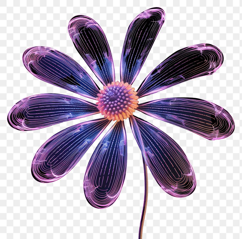 PNG Neon daisy wireframe light | Free PNG - rawpixel