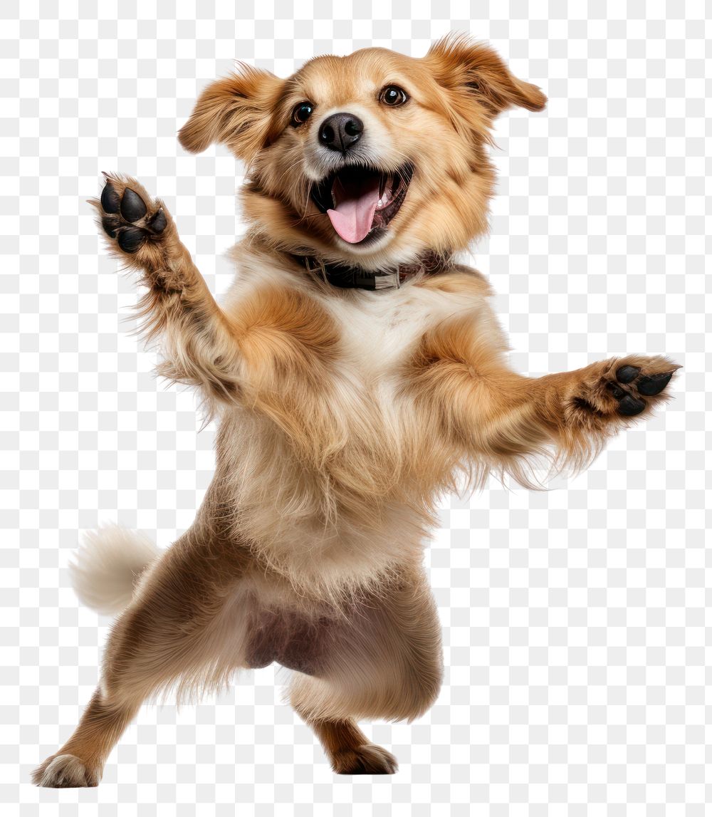 PNG Happy smiling dancing dog | Premium PNG - rawpixel
