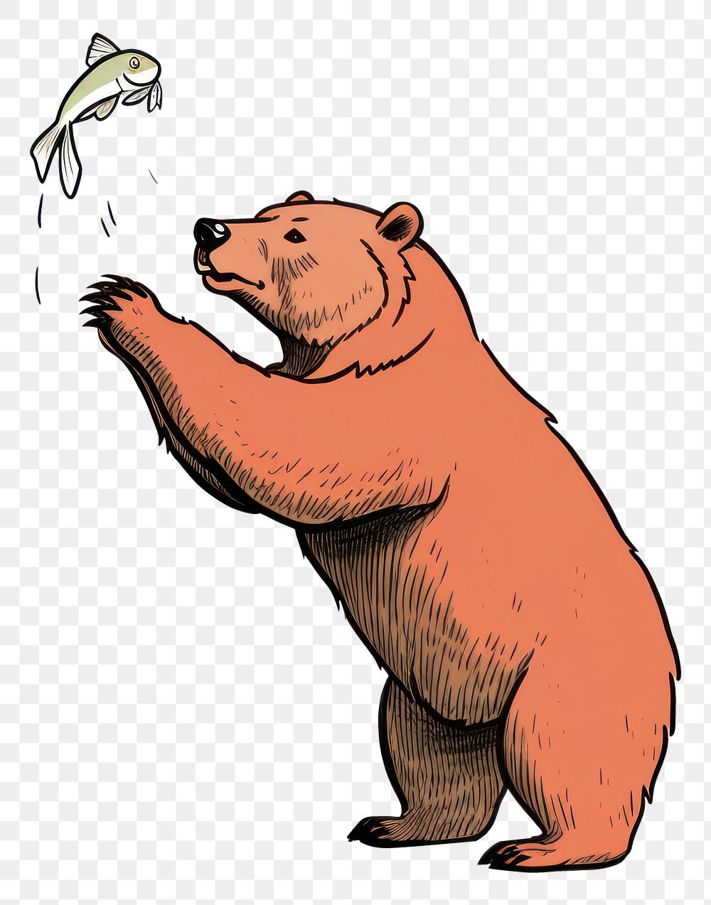 PNG Bear catching fish wildlife | Free PNG - rawpixel