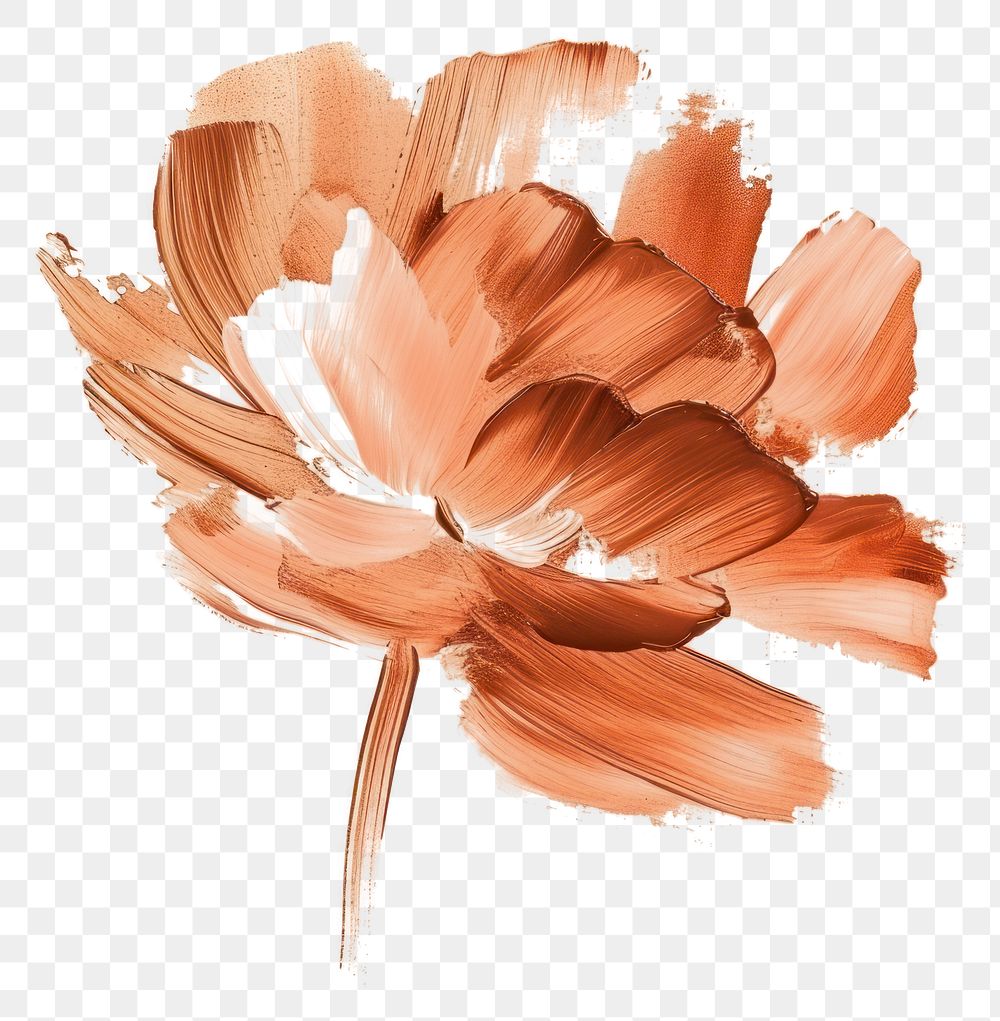 Carnations Drawing PNG Images | Free Photos, PNG Stickers, Wallpapers ...
