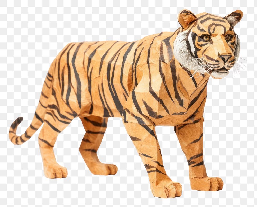 PNG Tiger wildlife animal mammal. | Premium PNG - rawpixel