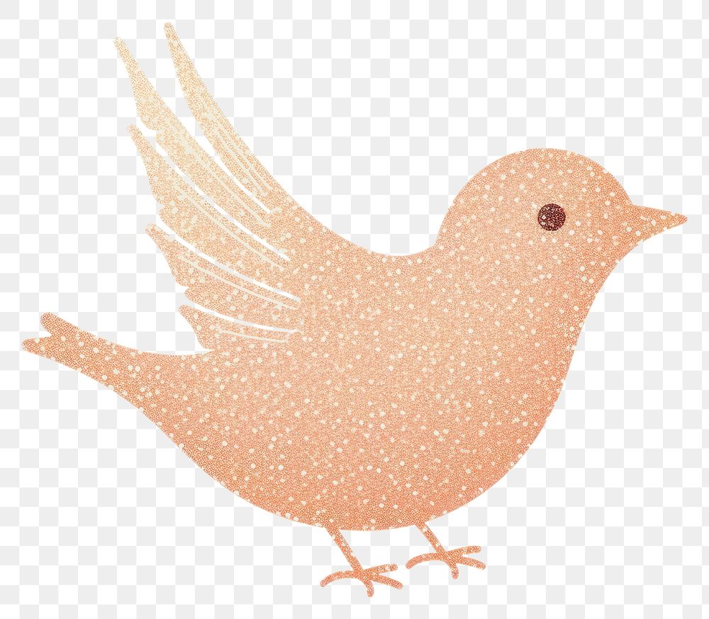 PNG Peach color bird icon | Premium PNG - rawpixel