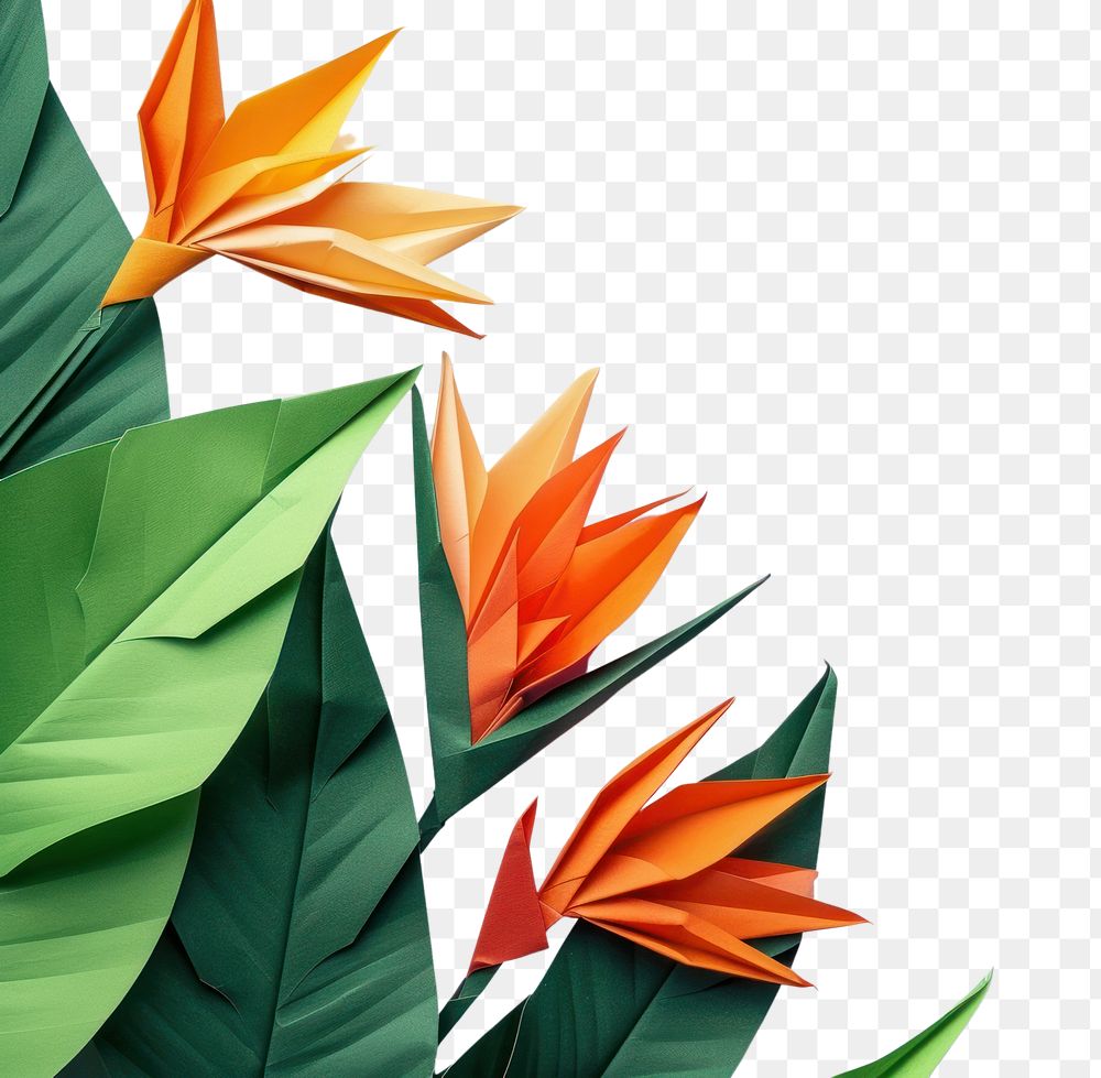PNG Origami pattern flower plant. | Free PNG - rawpixel