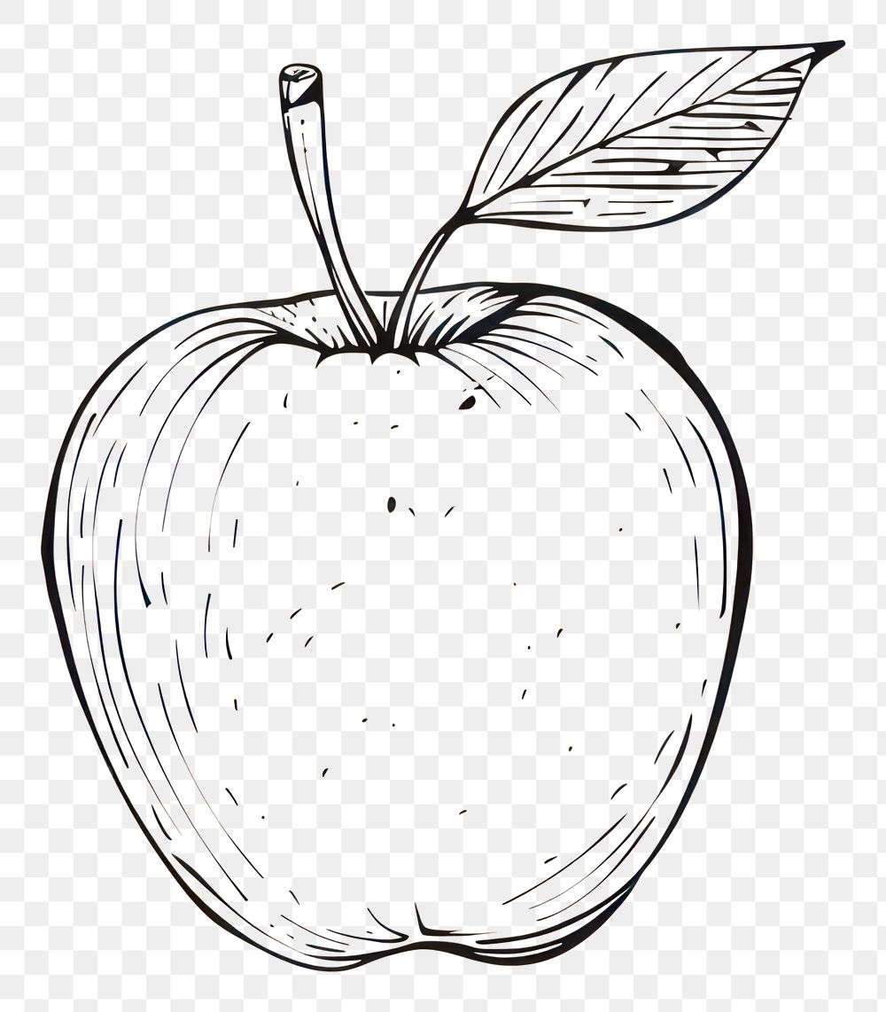 PNG Hand drawn apple drawing | Premium PNG - rawpixel