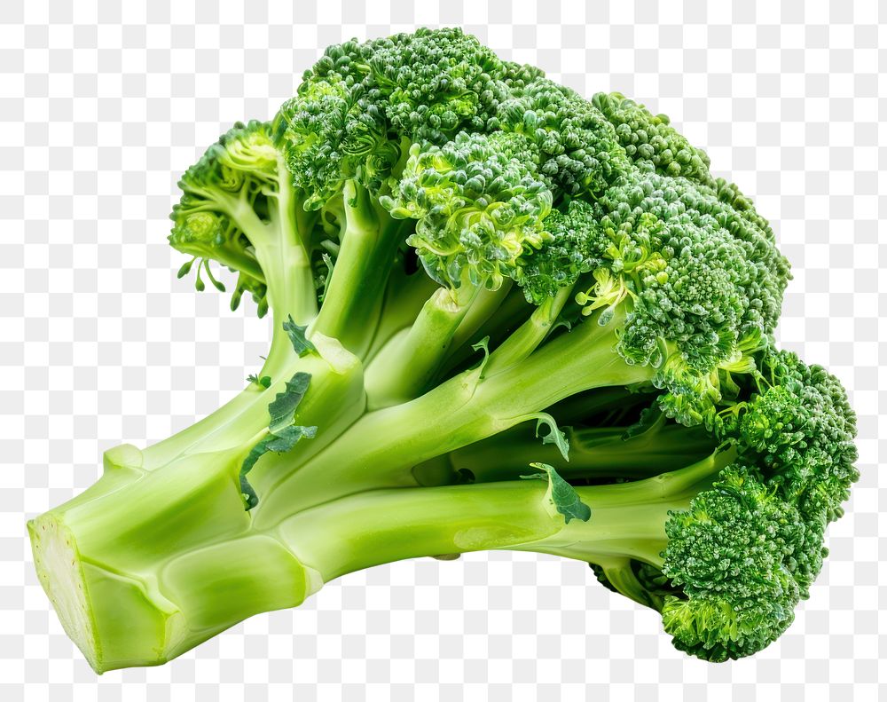 PNG Broccoli broccoli vegetable produce | Free PNG - rawpixel
