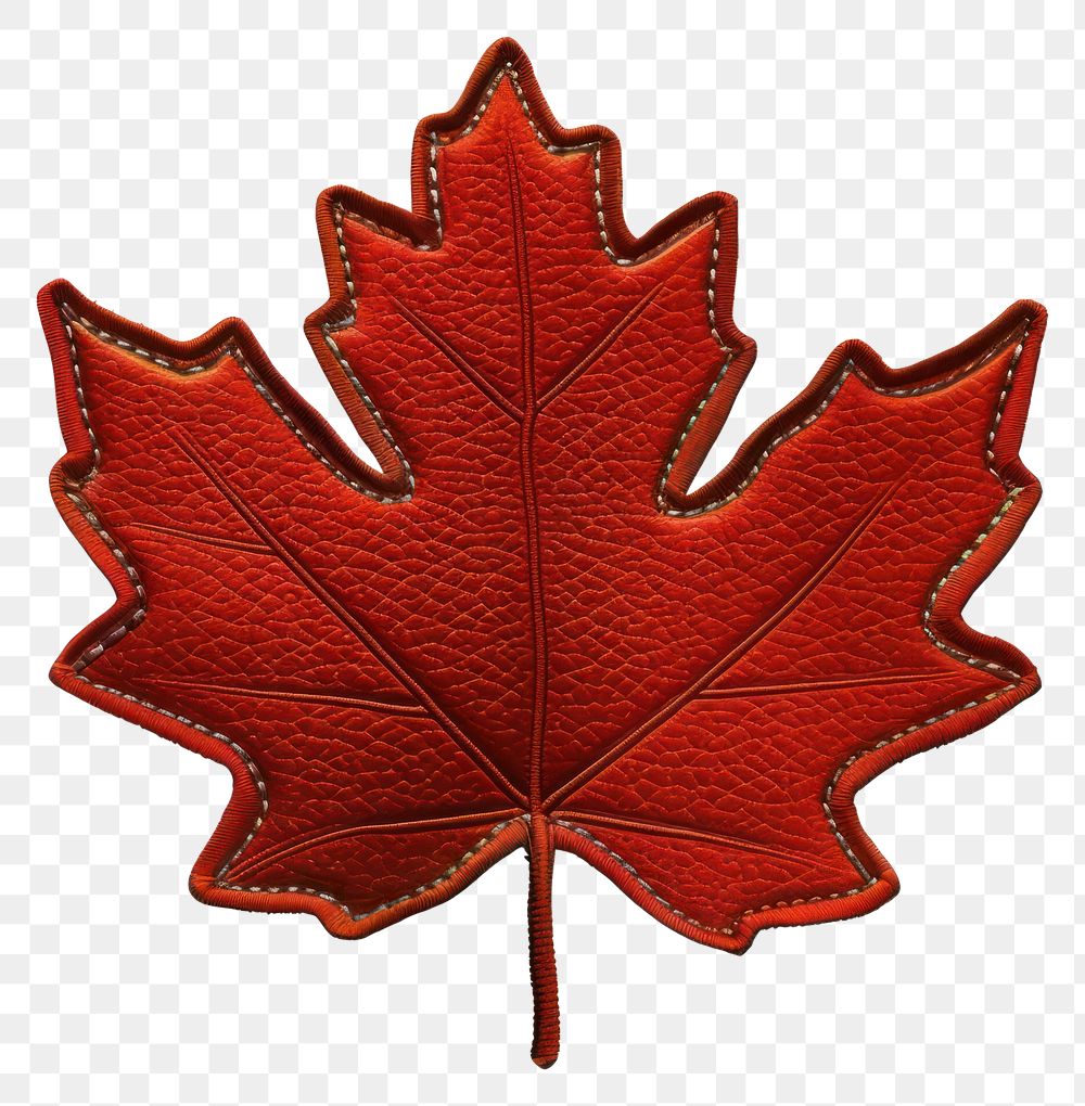 Autumn leaf football sports plant. | Premium PNG - rawpixel