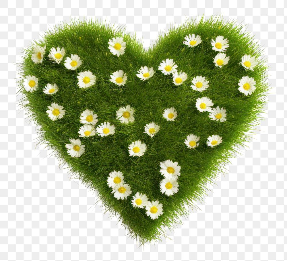 PNG Heart shape grass flower | Free PNG - rawpixel