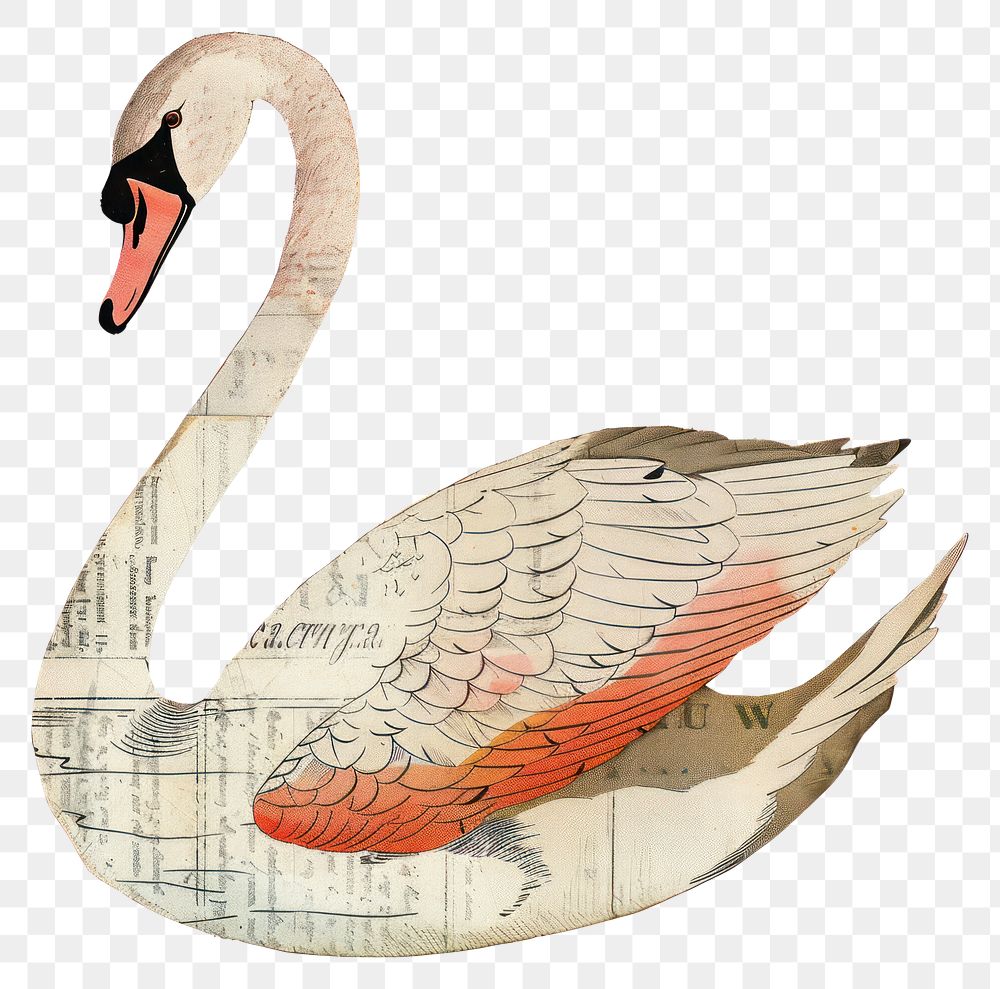 Abstract Swan Ripped Paper Images | Free Photos, PNG Stickers ...