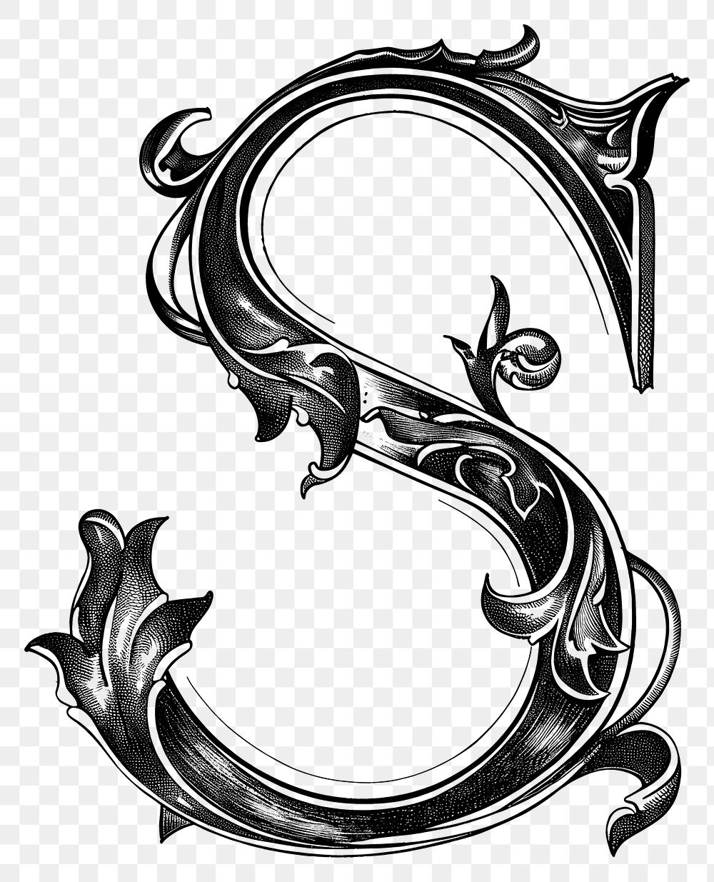PNG S letter alphabet art | Free PNG - rawpixel