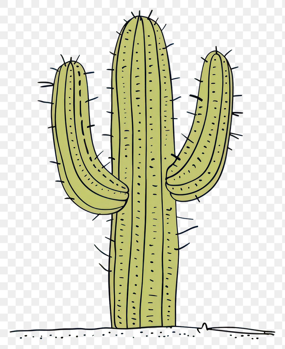 PNG Hand drawn cactus cartoon | Free PNG - rawpixel