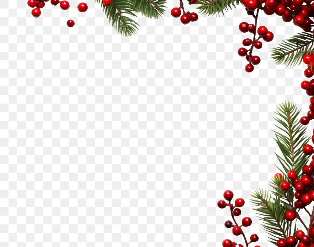 PNG festive holly berry border | Free PNG - rawpixel