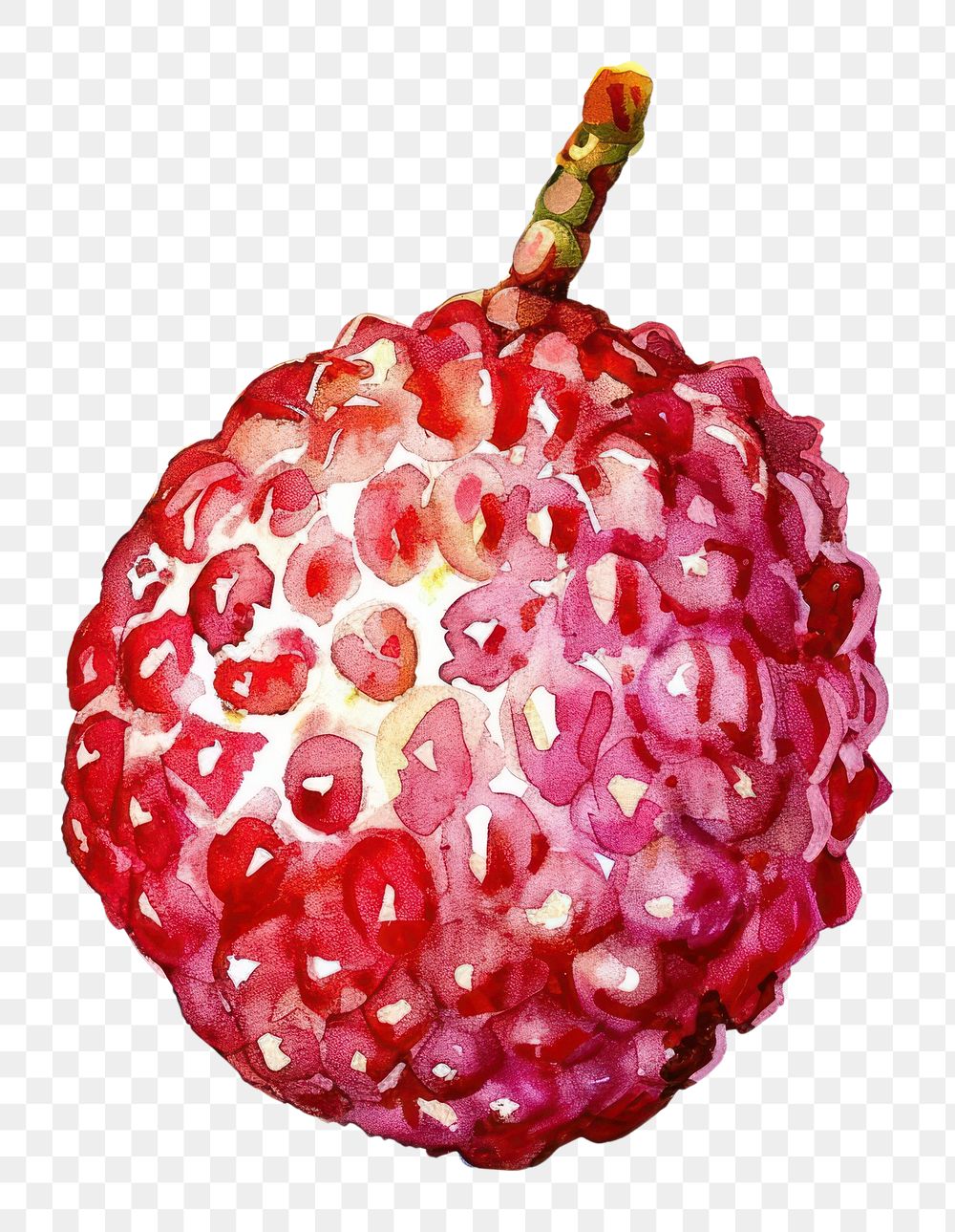 PNG An isolated fresh lychee | Free PNG - rawpixel