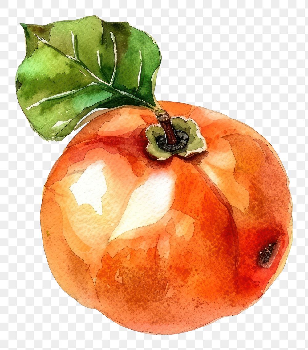 PNG An isolated fresh persimmon | Free PNG - rawpixel