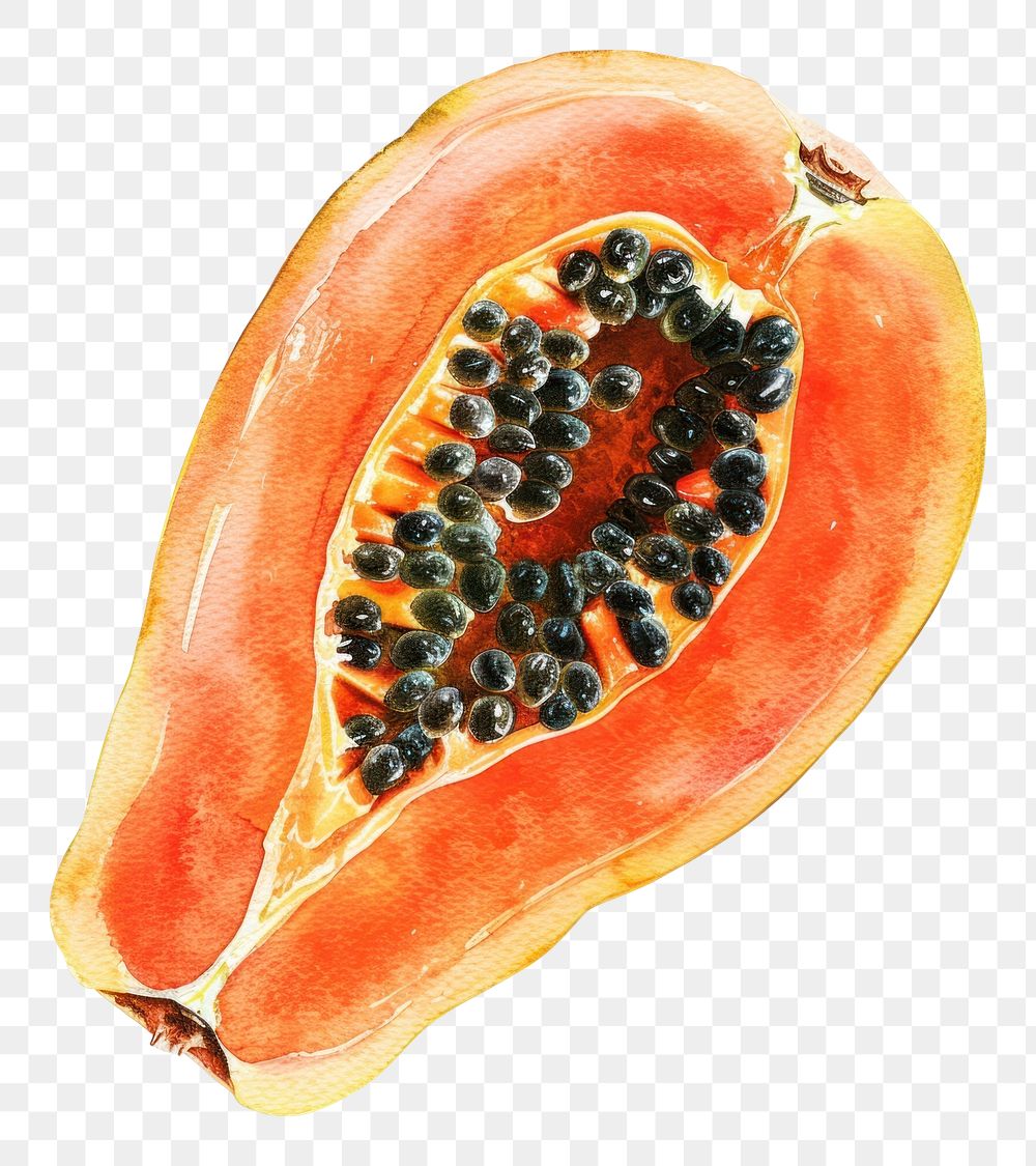PNG An isolated fresh papaya | Premium PNG - rawpixel