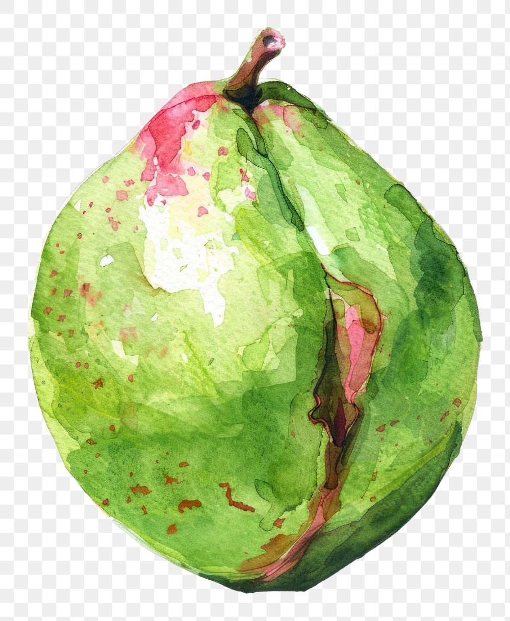 PNG An isolated fresh guava | Free PNG - rawpixel