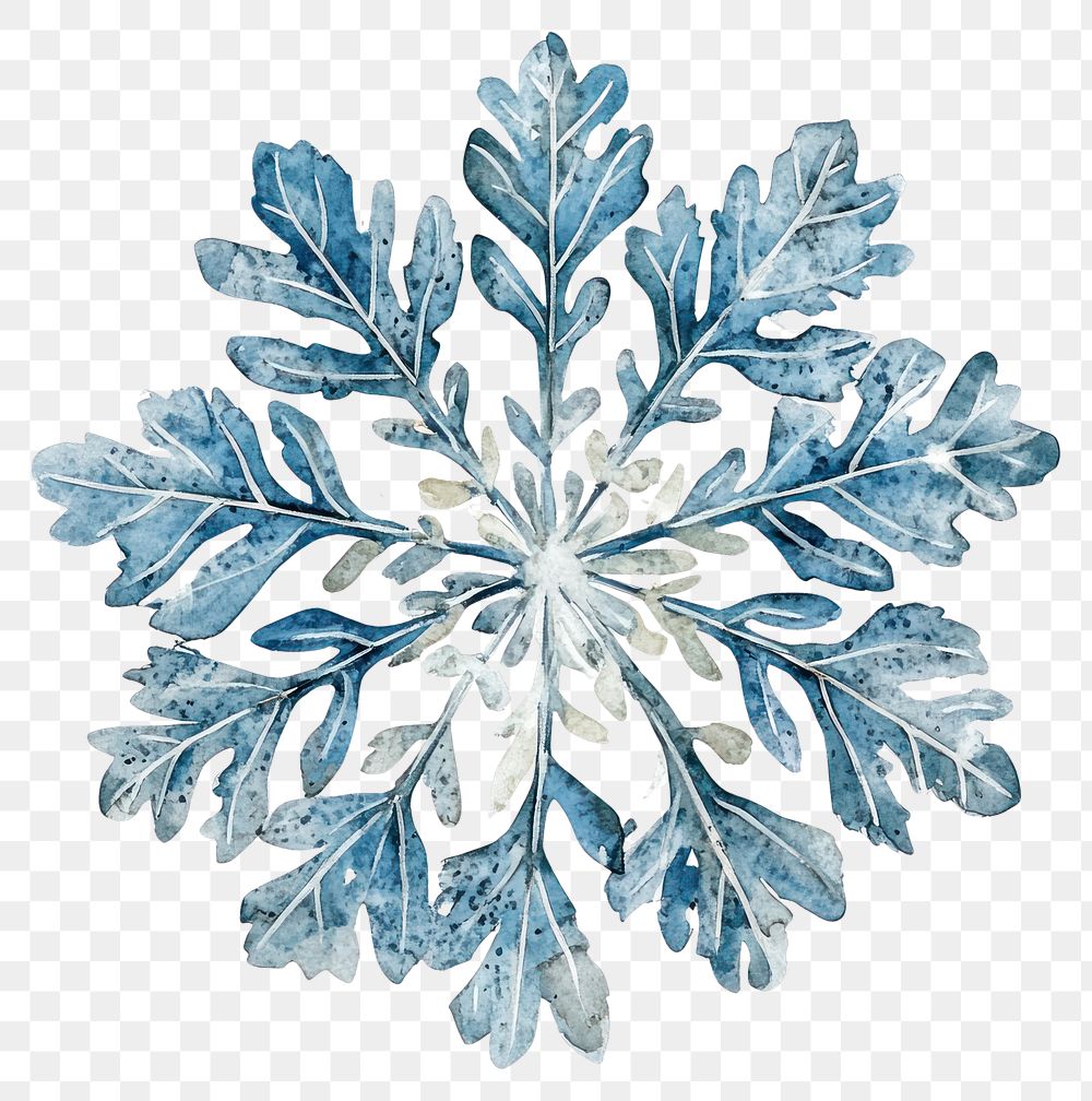 PNG Blue Snowflake snowflake illustration | Free PNG - rawpixel