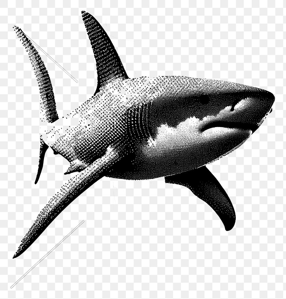 PNG Shark retro photocopy stipple | Free PNG - rawpixel