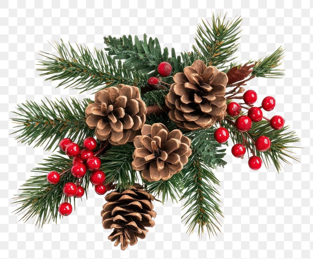 Clusters PNG Images | Free Photos, PNG Stickers, Wallpapers ...