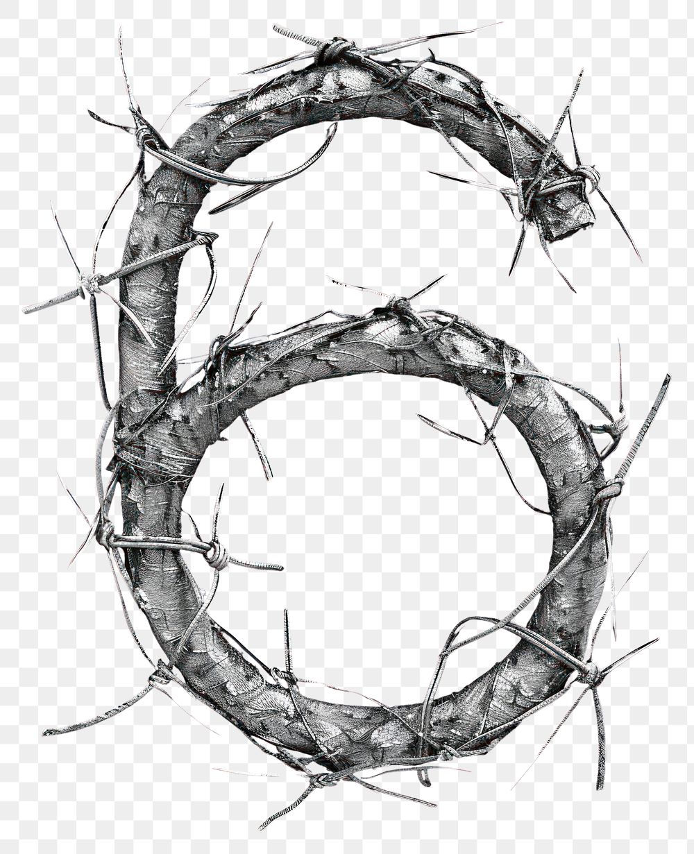 PNG Number 6 background invertebrate | Free PNG - rawpixel