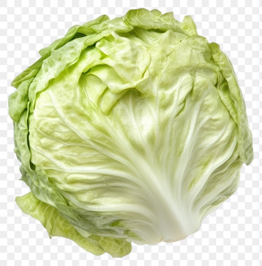 PNG One real lettuce vegetable | Free PNG - rawpixel