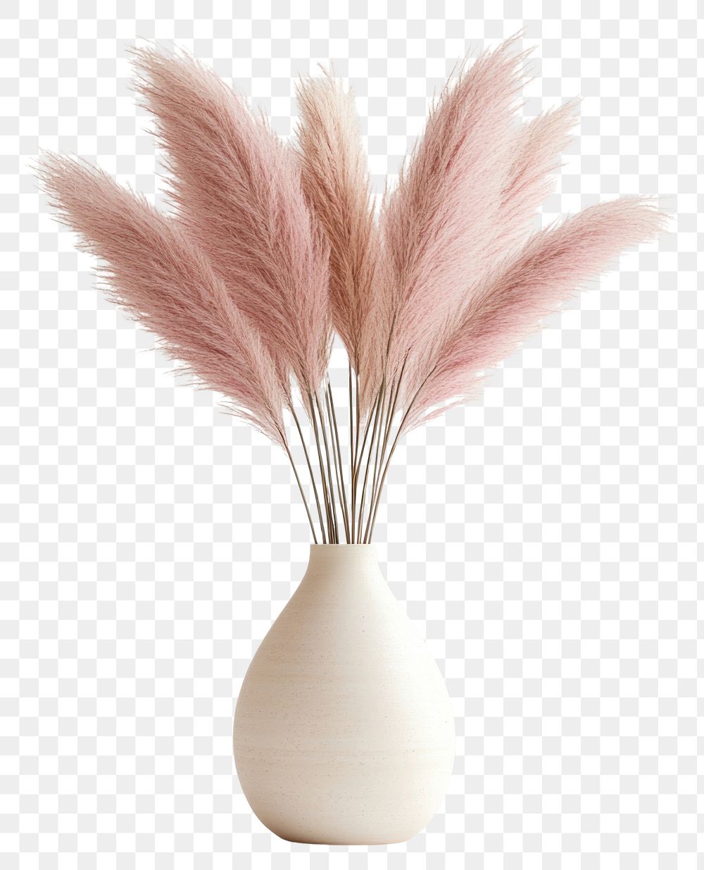 PNG Pink pampas grass vase | Free PNG - rawpixel