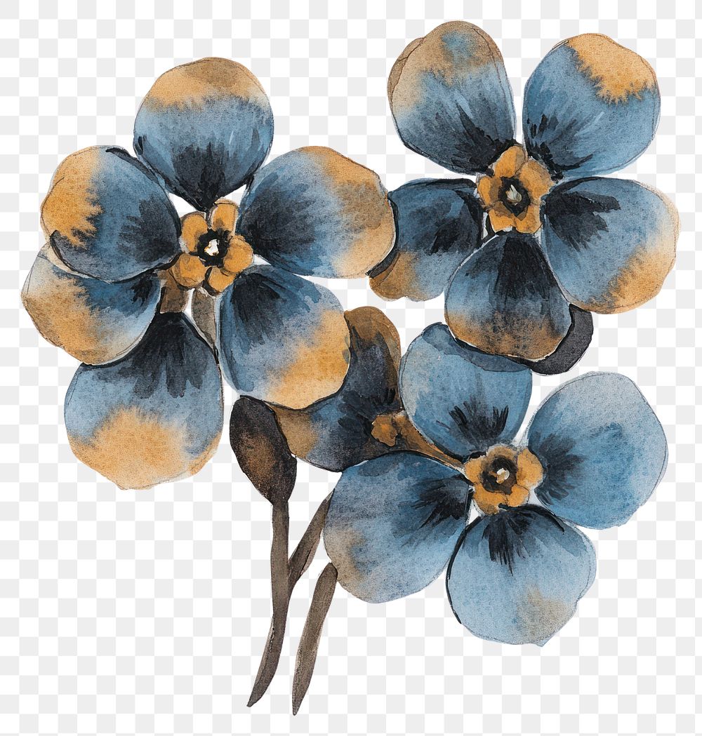 PNG Aesthetic Forget-Me-Nots flower flowers | Free PNG - rawpixel