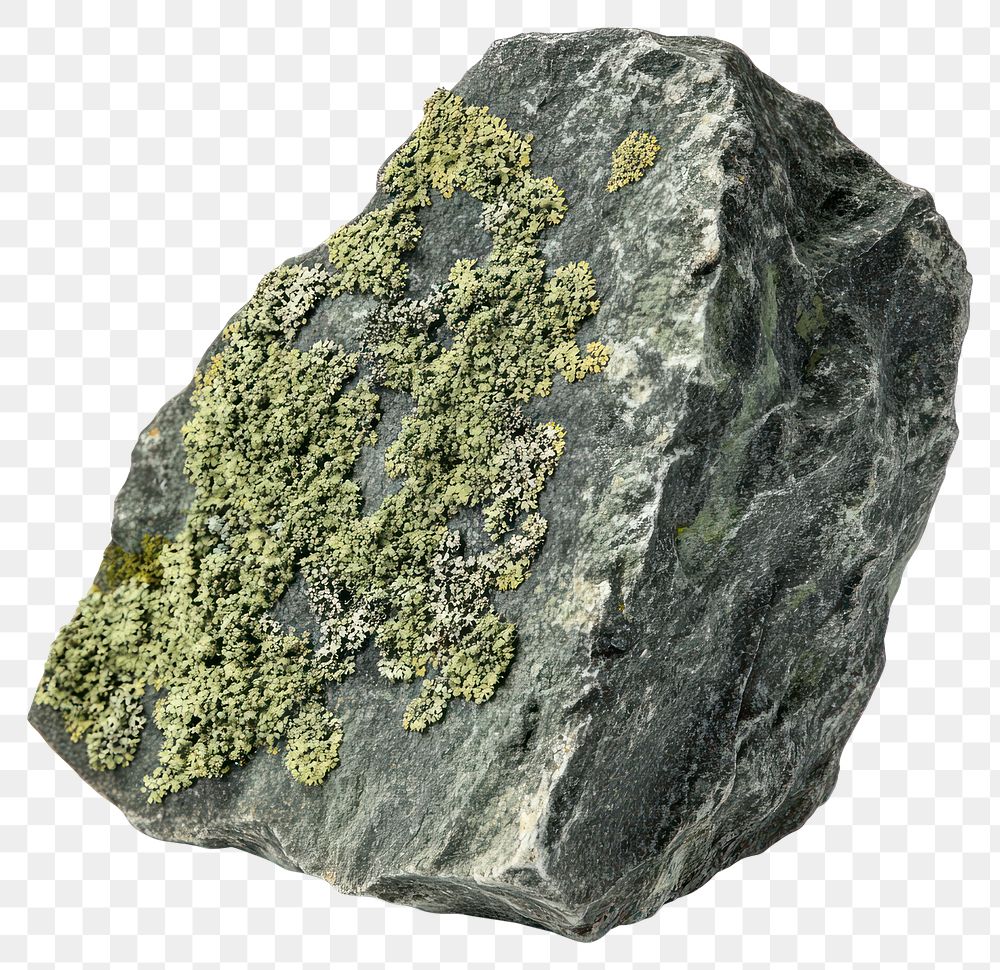 PNG Andesite Rock lichen rock | Free PNG - rawpixel