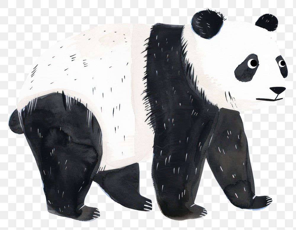 PNG Cute panda illustration wildlife | Free PNG - rawpixel