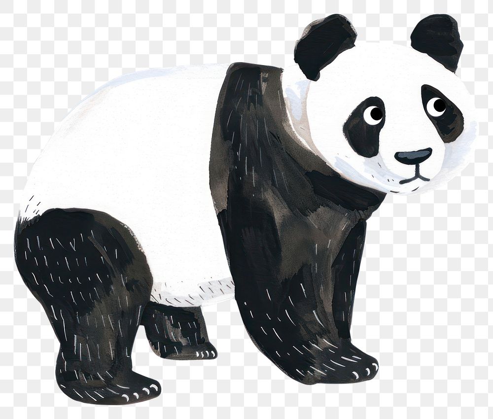 PNG Cute panda illustration wildlife | Free PNG - rawpixel