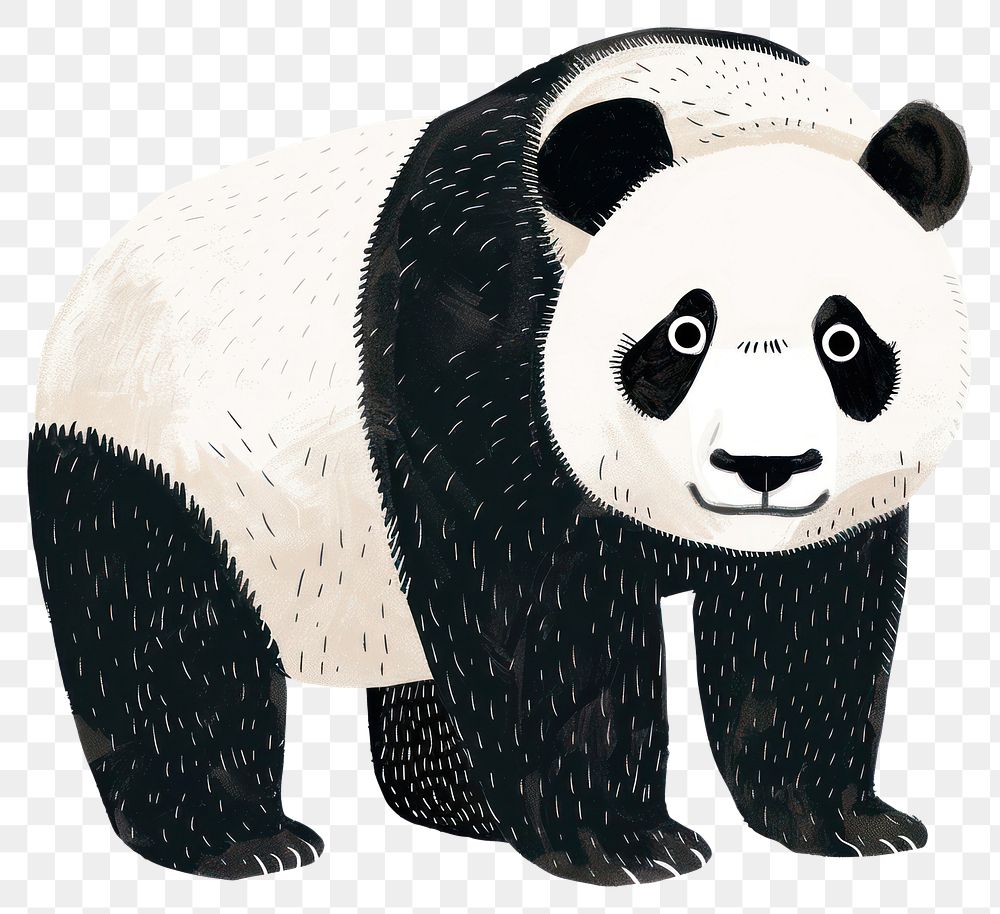 PNG Cute panda illustration wildlife | Free PNG - rawpixel