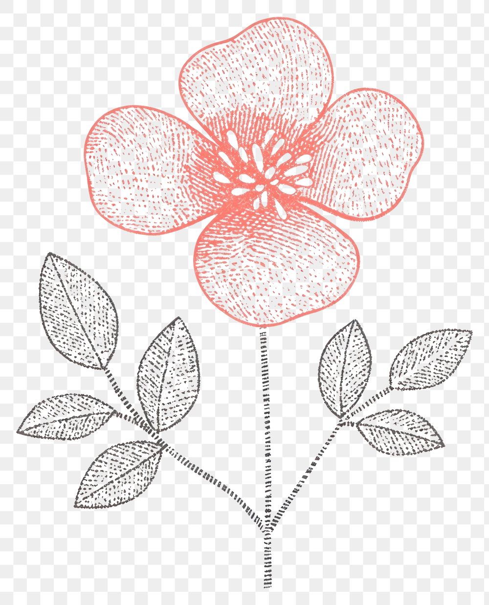 Sticker Drawing PNG Images | Free Photos, PNG Stickers, Wallpapers ...