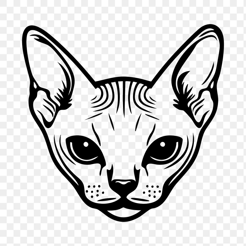 PNG Sphynx cat face portrait, | Free PNG - rawpixel
