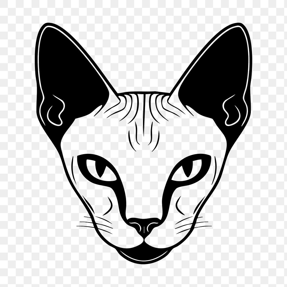 PNG Sphynx cat face portrait, | Free PNG - rawpixel