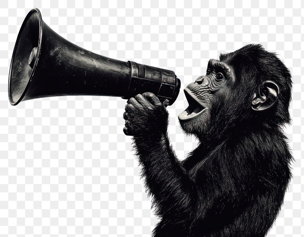 Monkey Speech Images | Free Photos, PNG Stickers, Wallpapers ...