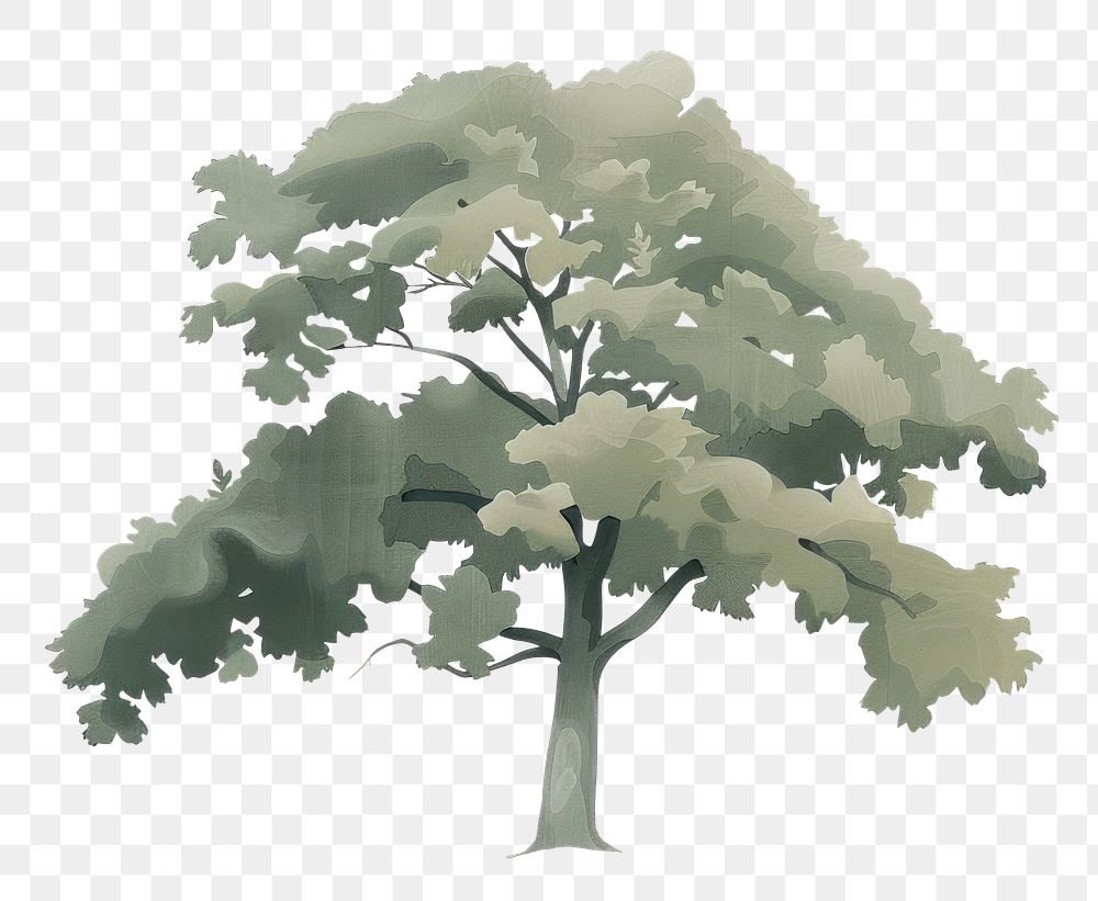 PNG Tree illustration painting drawing. | Free PNG - rawpixel