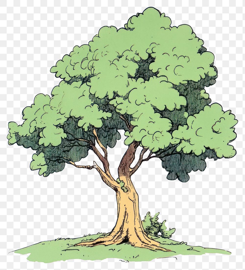 PNG Tree illustration drawing art. | Free PNG - rawpixel
