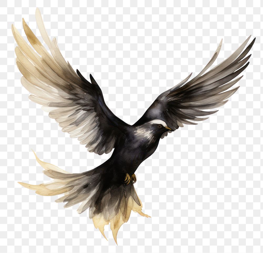 PNG Color dove gold sparkle | Free PNG - rawpixel