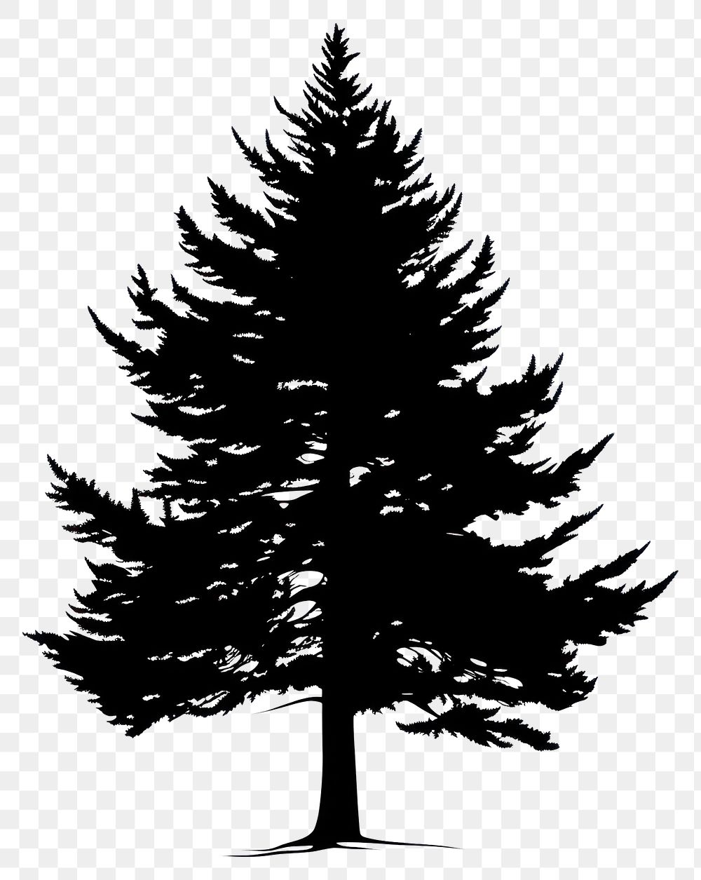 PNG Cedar tree silhouette illustration | Free PNG - rawpixel