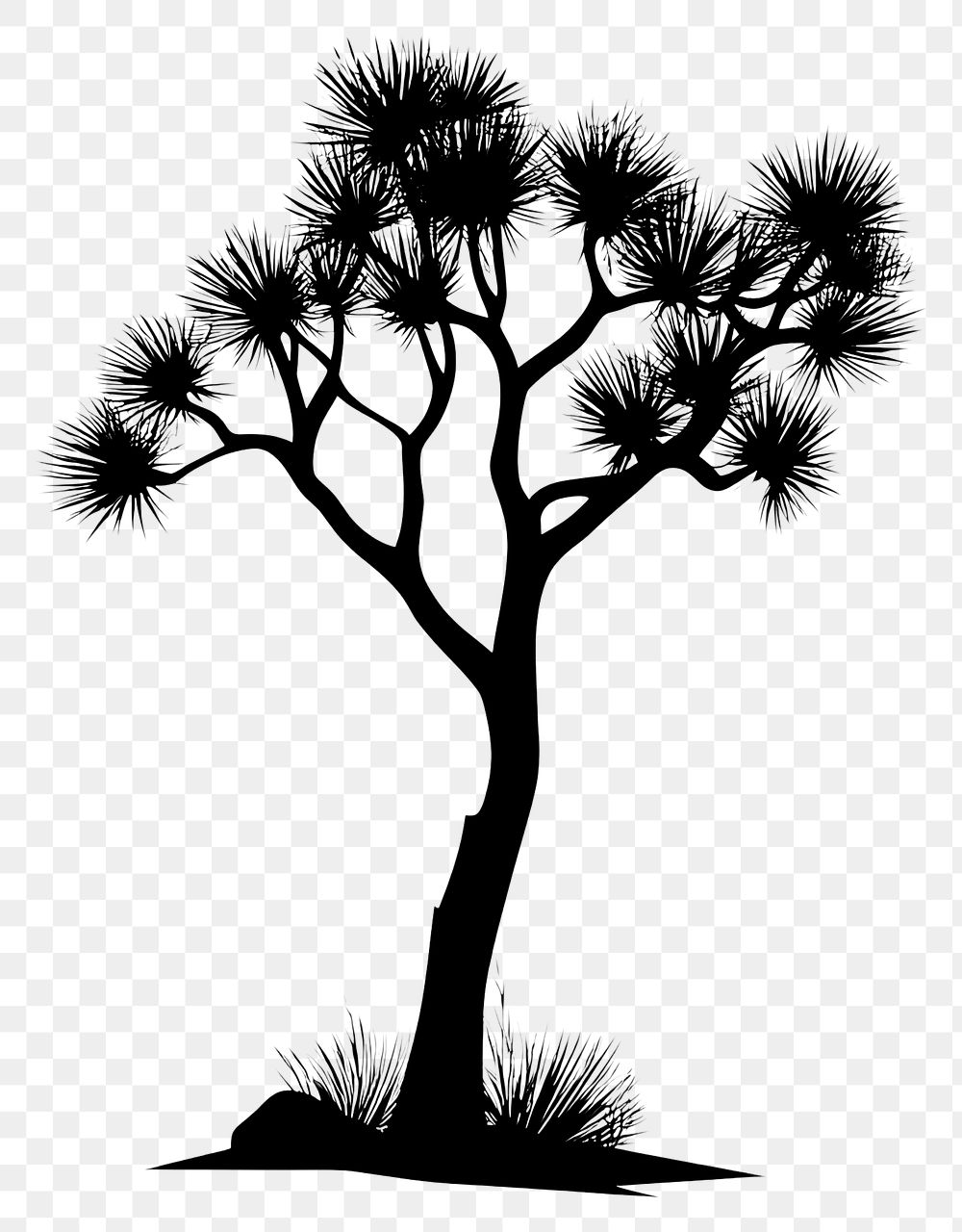 PNG Joshua tree silhouette illustration | Free PNG - rawpixel
