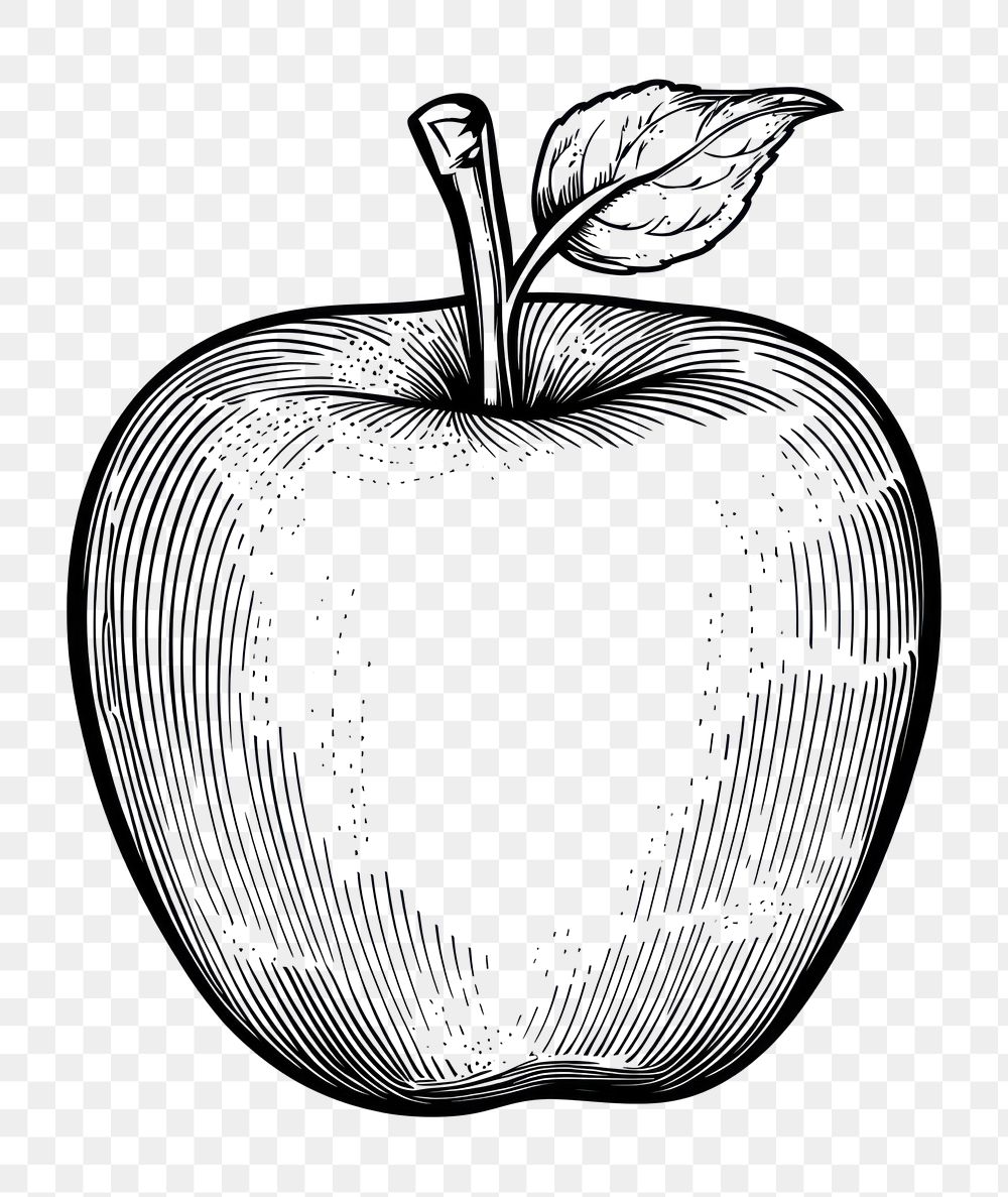 PNG Simple apple linear art | Free PNG - rawpixel