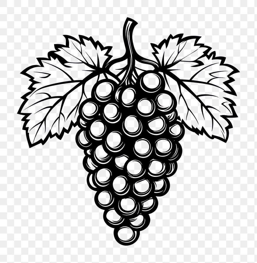PNG Simple grapes linear art | Free PNG - rawpixel