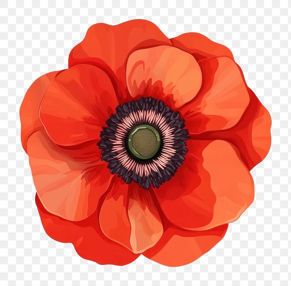 PNG Real red flower illustration | Free PNG - rawpixel