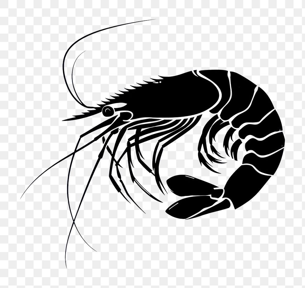 PNG Prawn illustration silhouette graphic | Free PNG - rawpixel