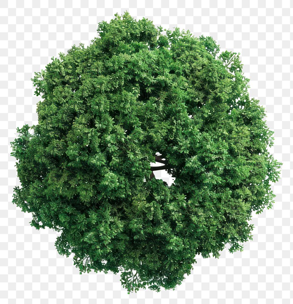 PNG Tree green view top. | Free PNG - rawpixel
