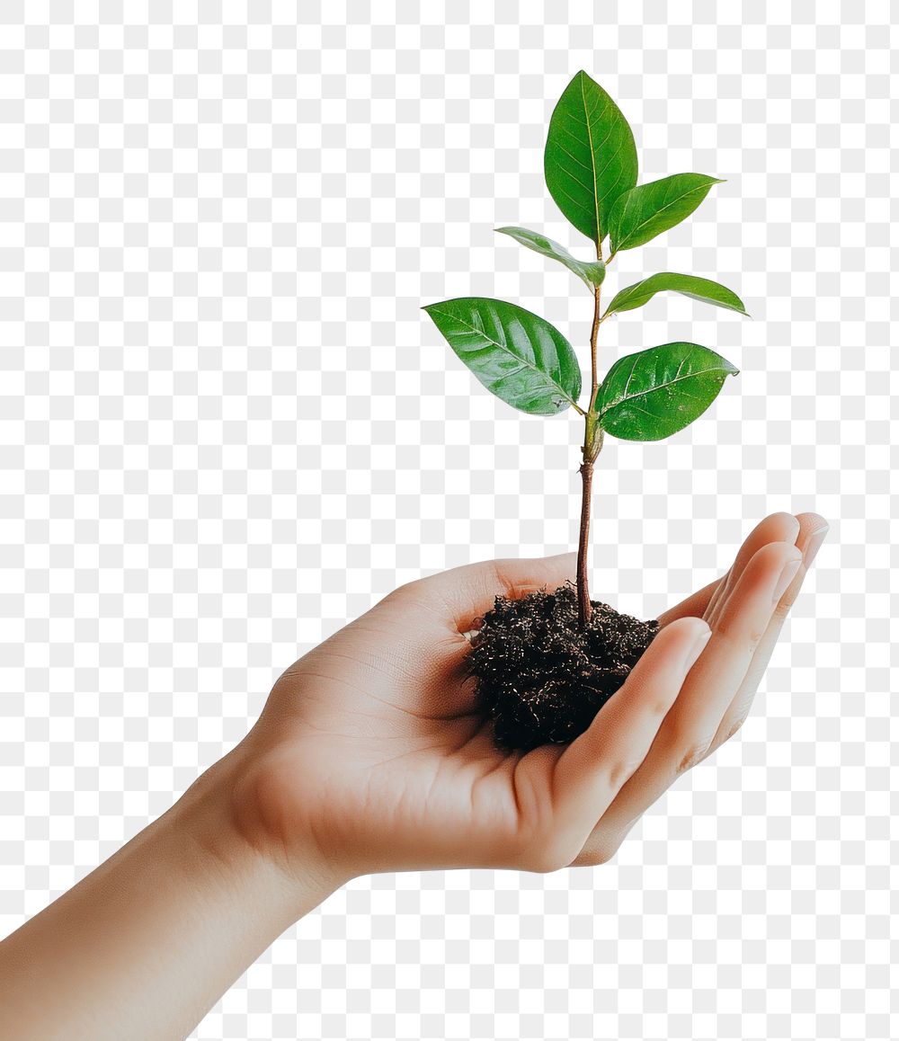 PNG Nurturing nature and environmental | Free PNG - rawpixel