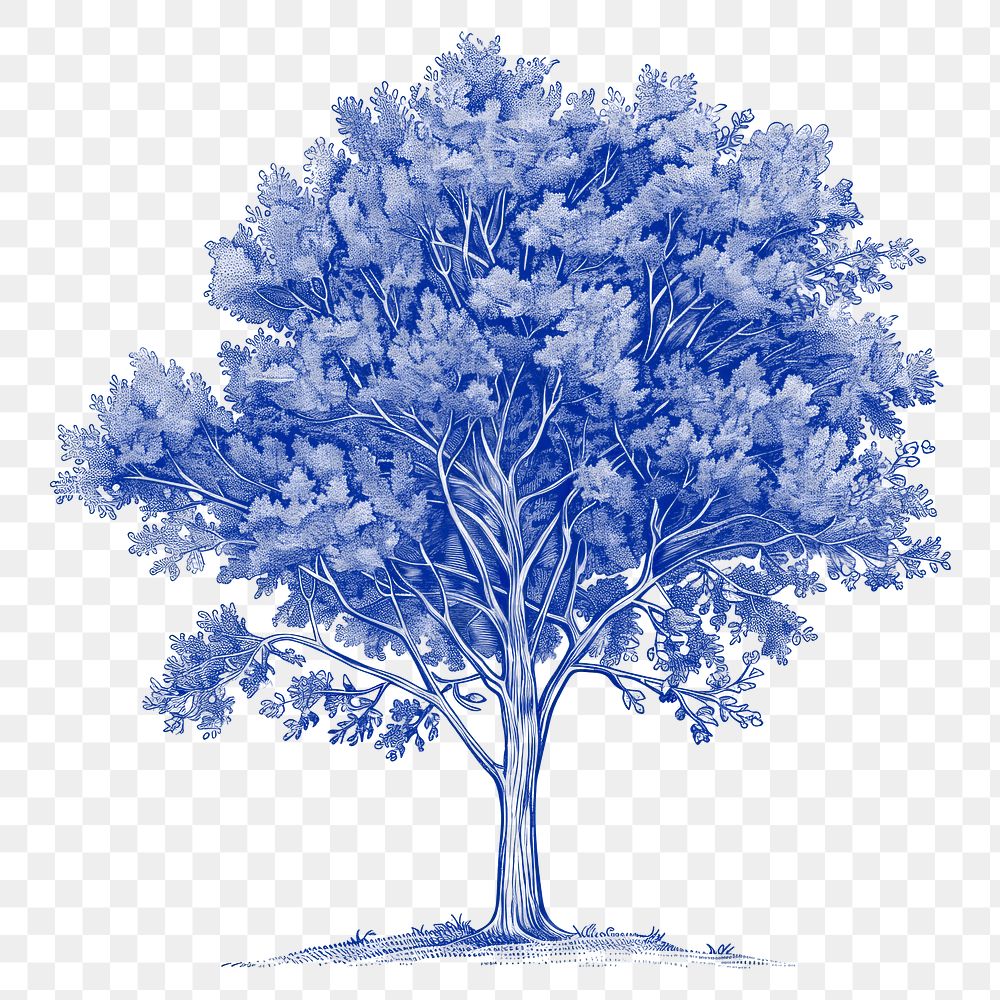 PNG Hand drawn tree drawing | Free PNG - rawpixel