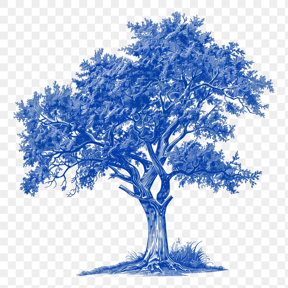 PNG Hand drawn tree drawing | Free PNG - rawpixel