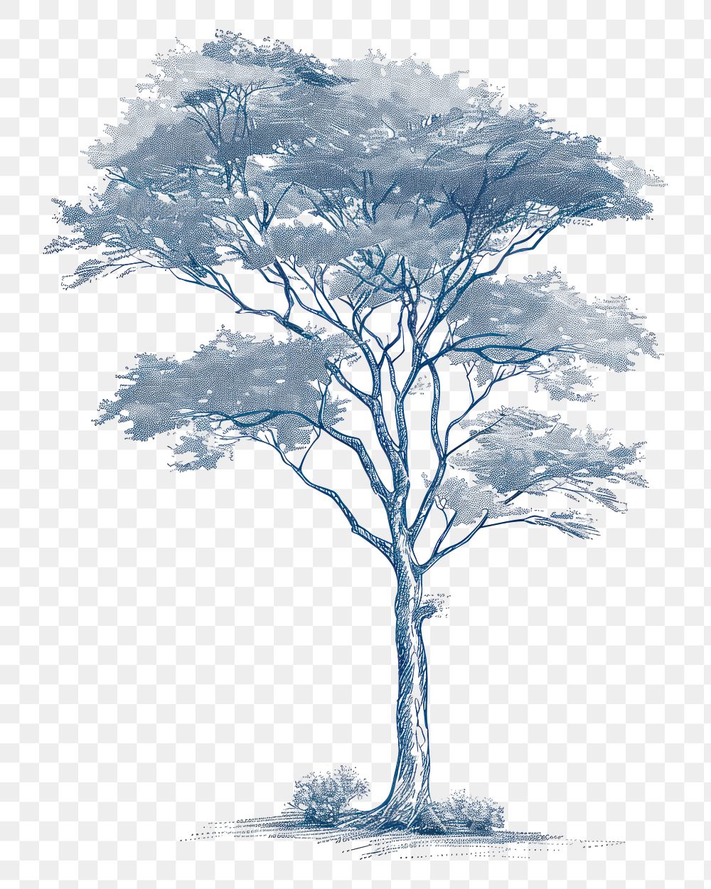 Toile+paintings PNG Images | Free Photos, PNG Stickers, Wallpapers ...